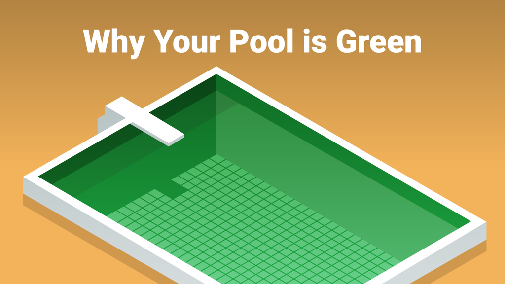 Why Your Pool Is Green and What to Do About It – PoolPartsToGo