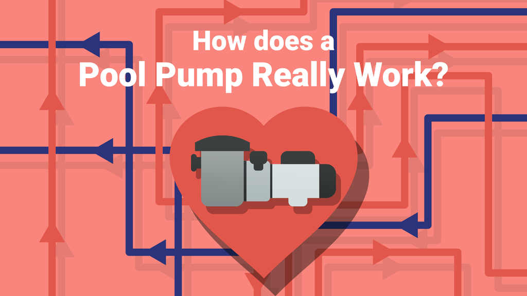 How Does a Pool Pump Really Work? – PoolPartsToGo