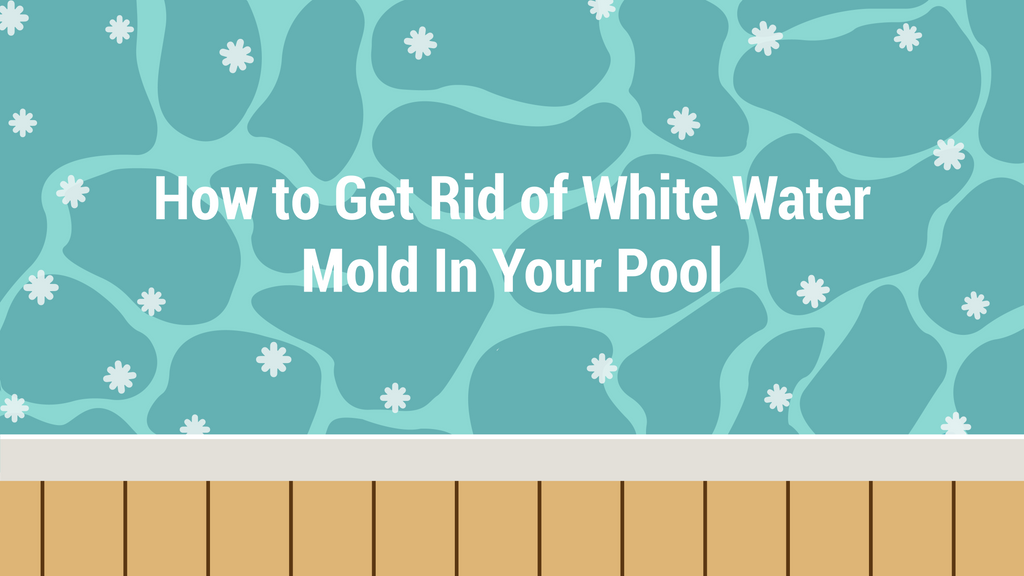 How to Get Rid of White Water Mold In Your Pool – PoolPartsToGo